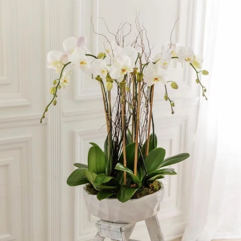 Siobahn | Florist Frenchs Forest | Send Flowers Online | Same-Day ...
